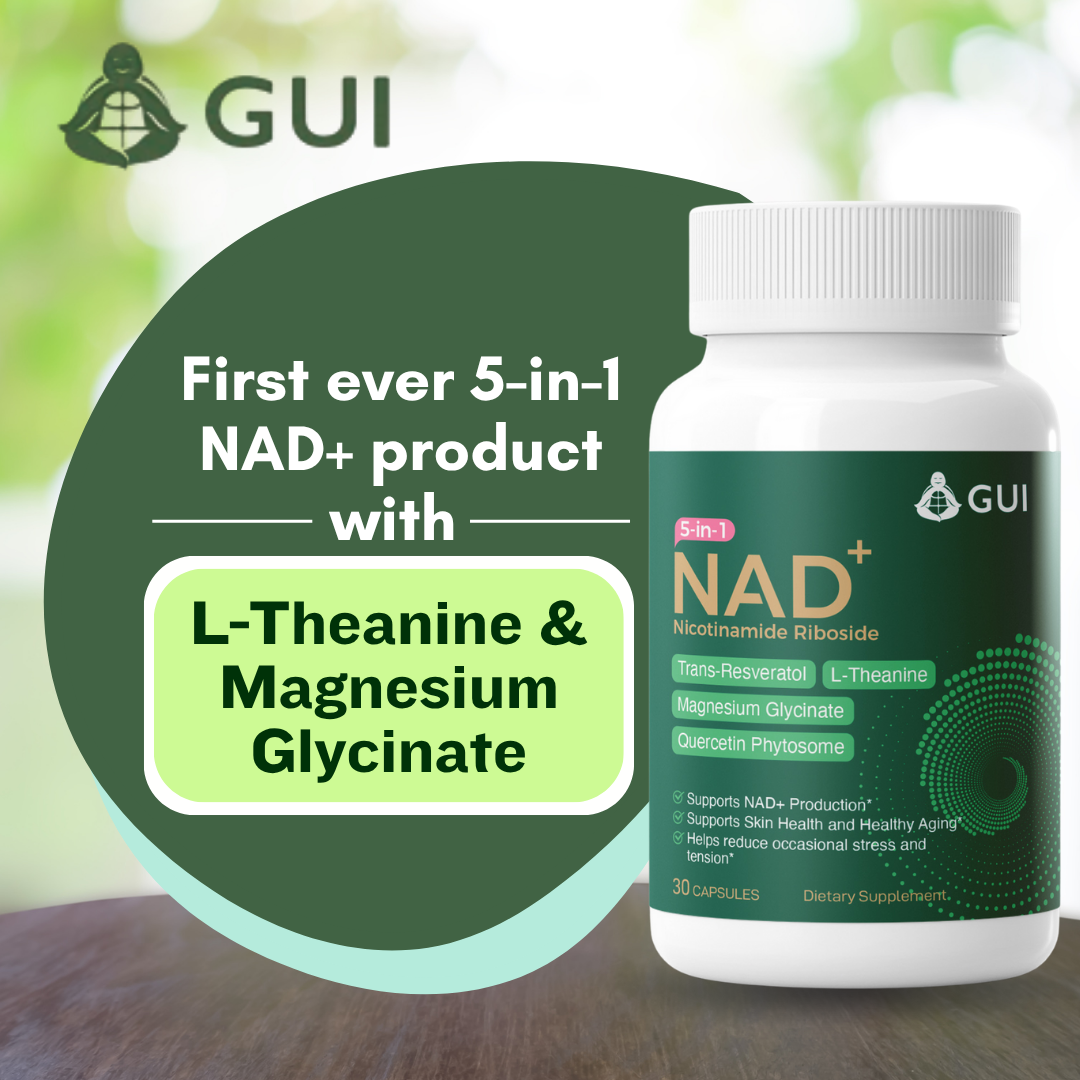 5-in-1 NAD+ with Magnesium Glycinate, L-Theanine, Resveratrol, Quercet ...